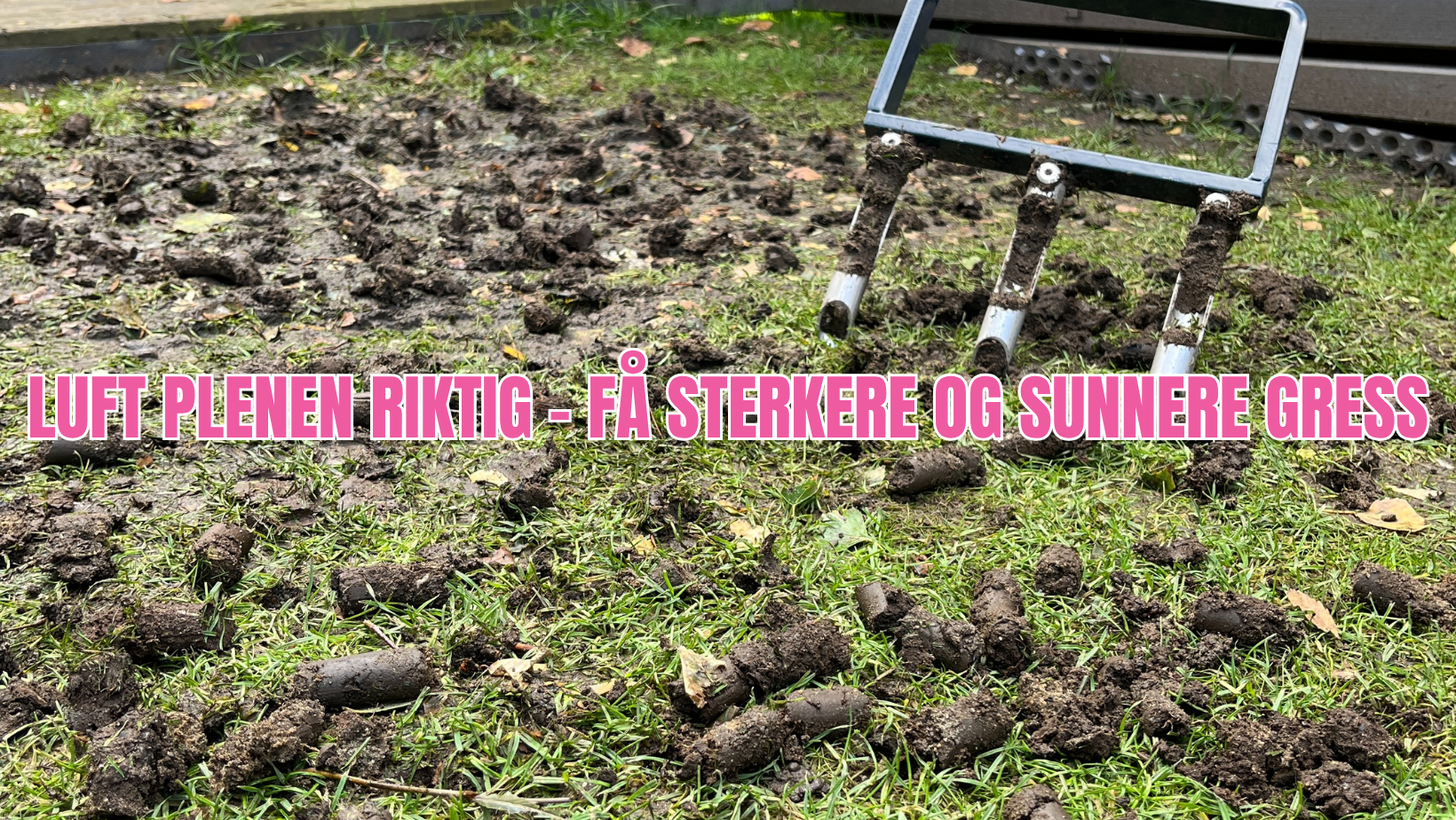 Plenlufting – Nøkkelen til en sunn og frodig gressmatte - Gardenbox